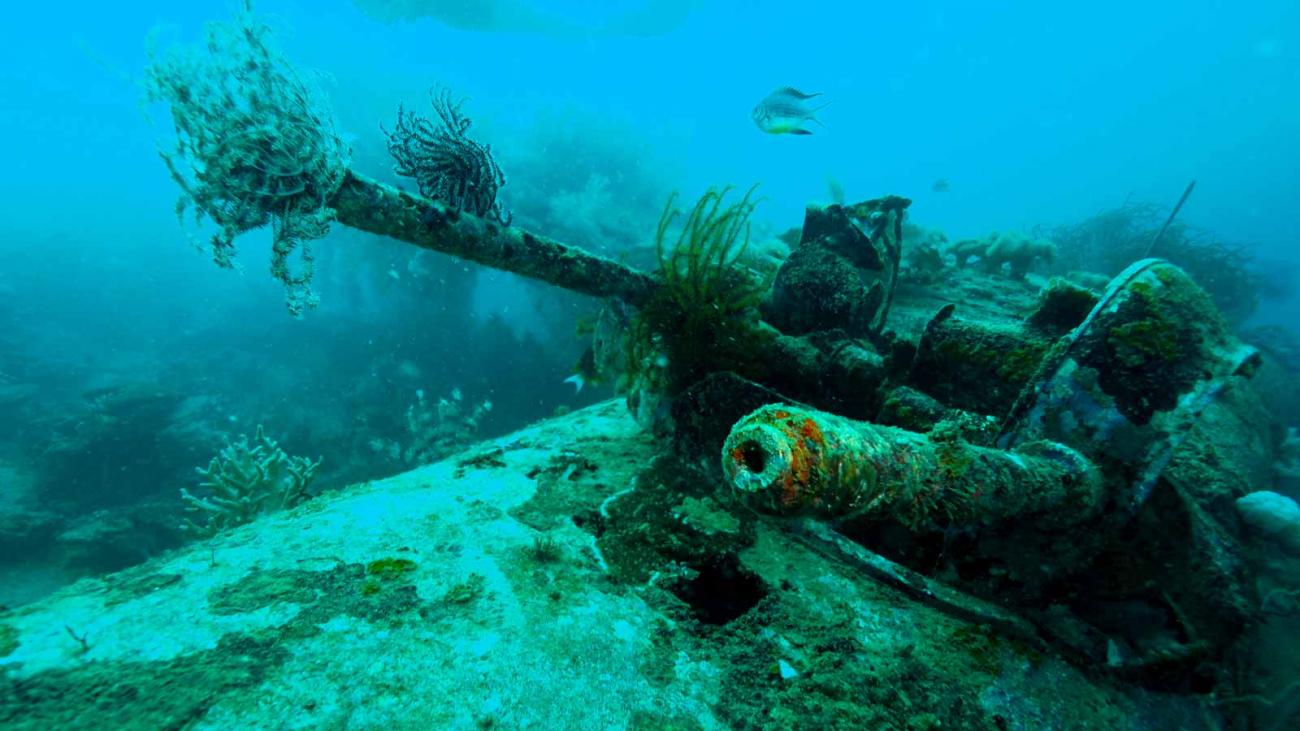 Wreck diving hotspots | Underwater Asia
